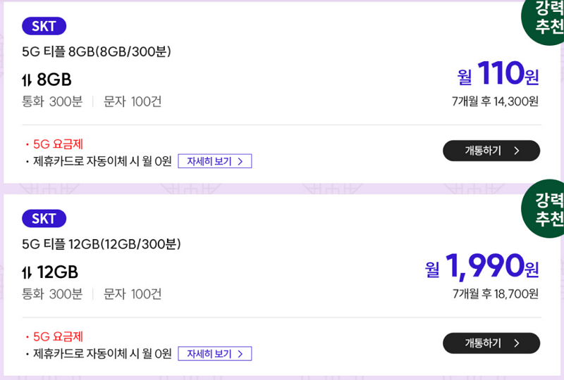 skt 5G통신망 8기가 데이터요금 110원부터